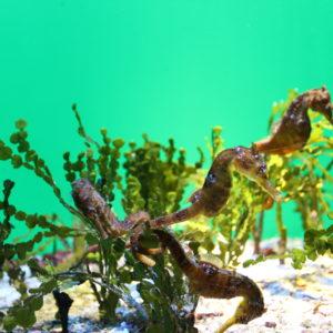 7 Things to Do in Myeongdong (+ Street Food & Where to Stay)