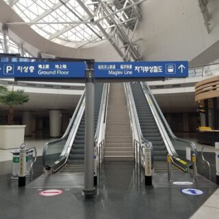 Complete Guide to Udo Island, South Korea (In a Day)