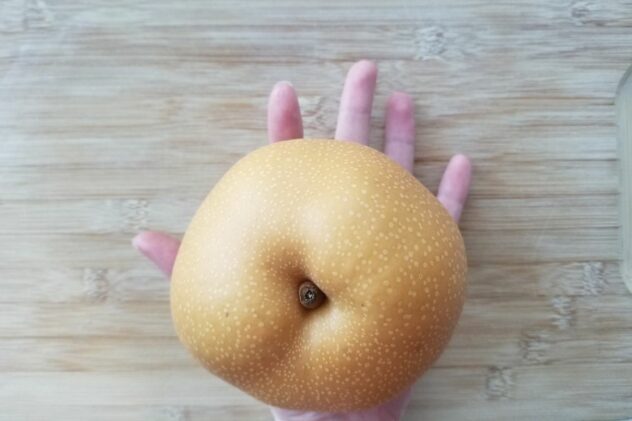 Complete Korean Pear Guide (Asian Pears, Apple Pears)