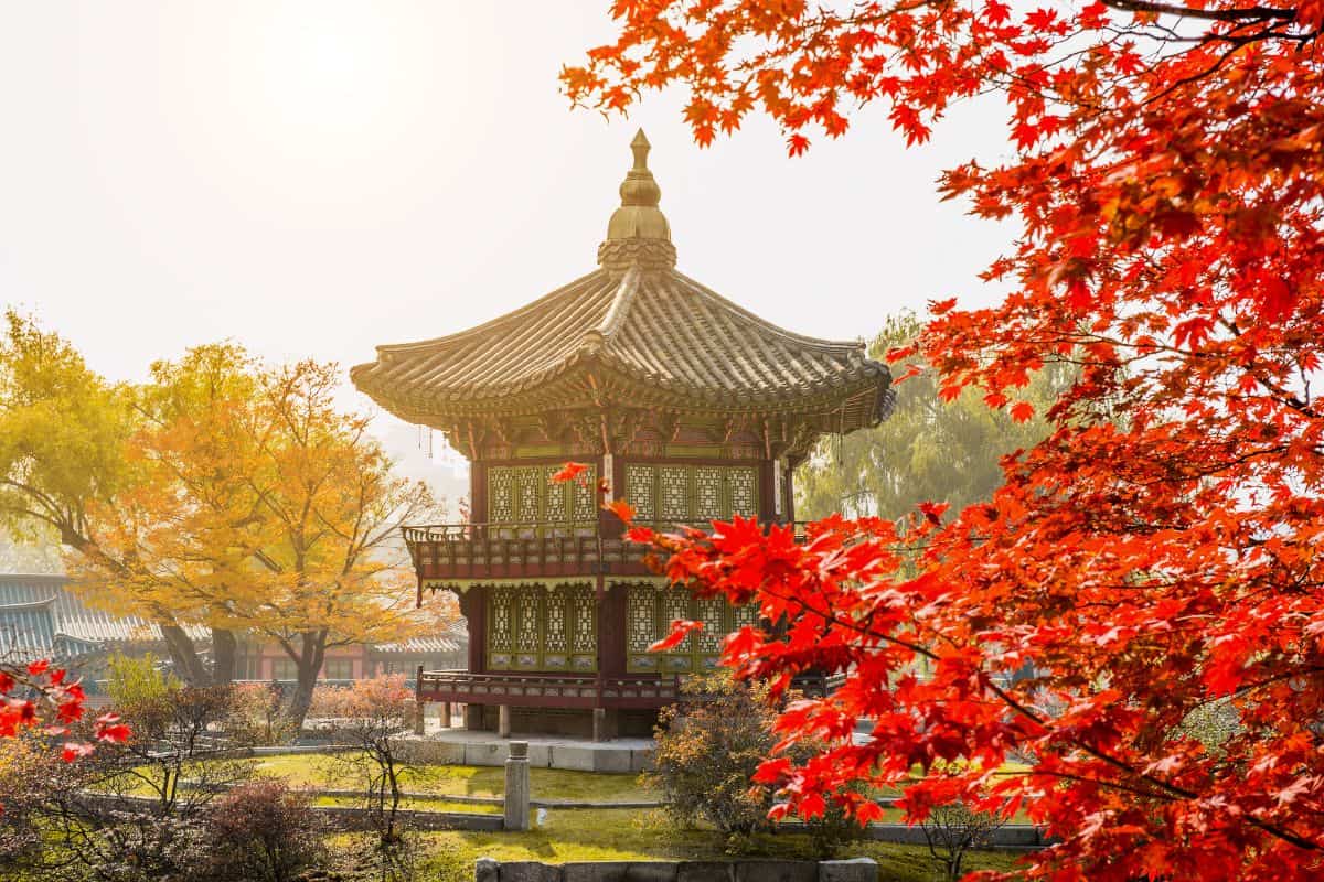 Complete Guide to Fall in Korea (Autumn Leaves Spots)