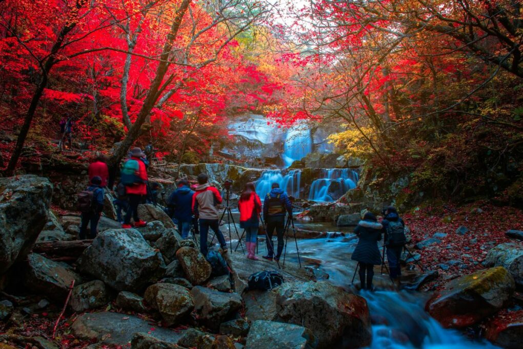 Local's Guide to Visiting Korea in September (+ Itinerary)