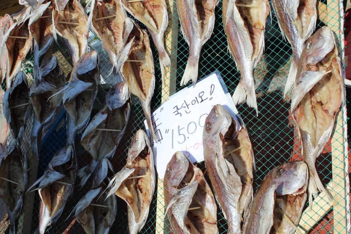 Local's Guide to Where To Stay In Busan in 2025 (First Timers)