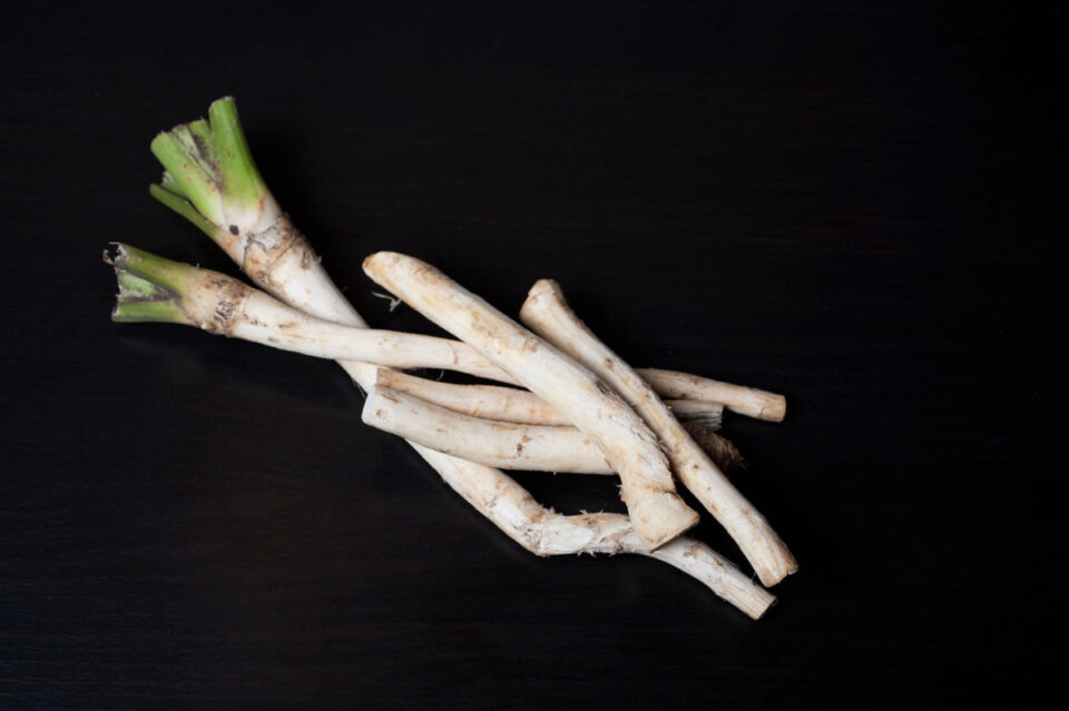 7 Best Daikon Radish Substitutes (for Cooking & More)