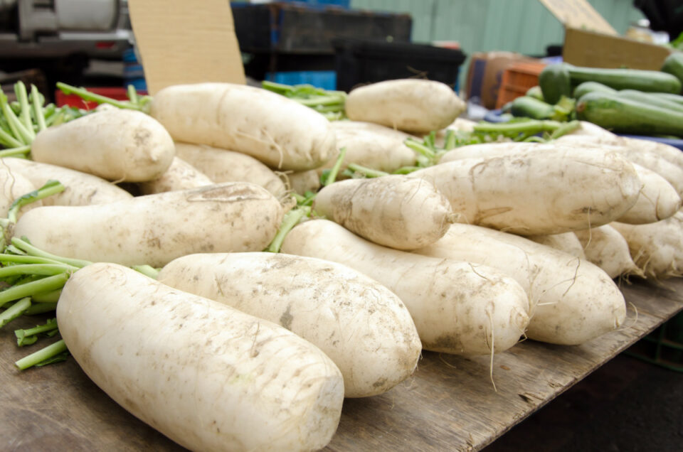 7 Best Daikon Radish Substitutes (for Cooking & More)