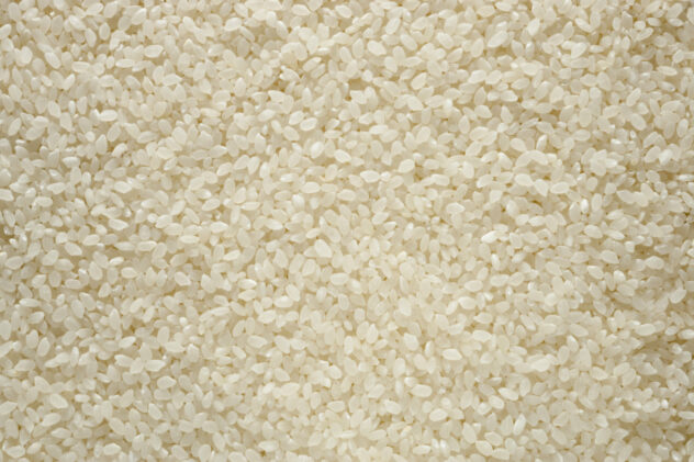 8 Best Korean Rice Brands (in the US & Korea)