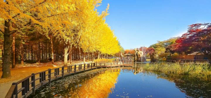 Local's Guide to Visiting Korea in October (+ Itinerary)