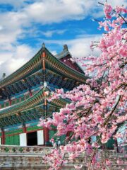 Local's Guide to Visiting Korea in May (+ Itinerary)