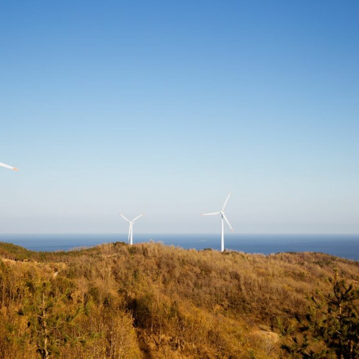 Complete Guide to Spring in Korea (27+ Things to Do & See)