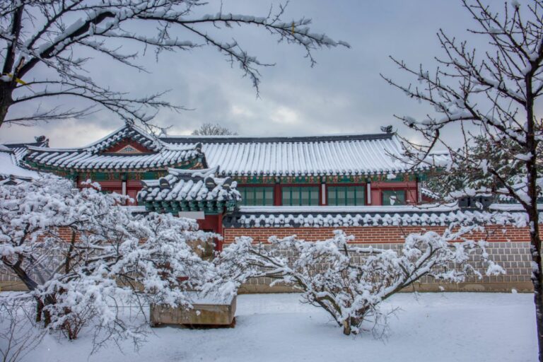 Local's Guide to Visiting Korea in January (+ Itinerary)