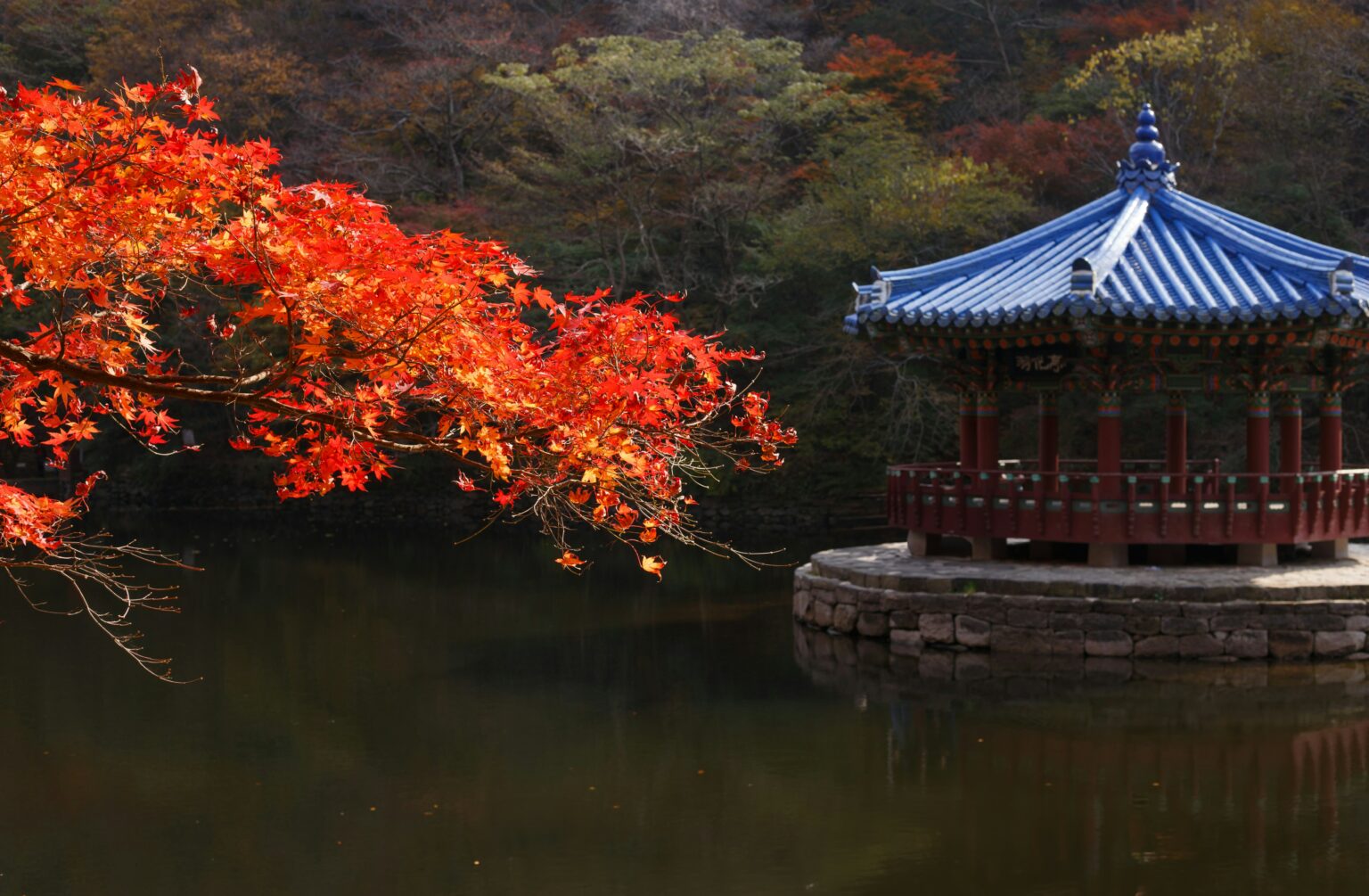 Local's Guide to Visiting Korea in November (+ Itinerary)