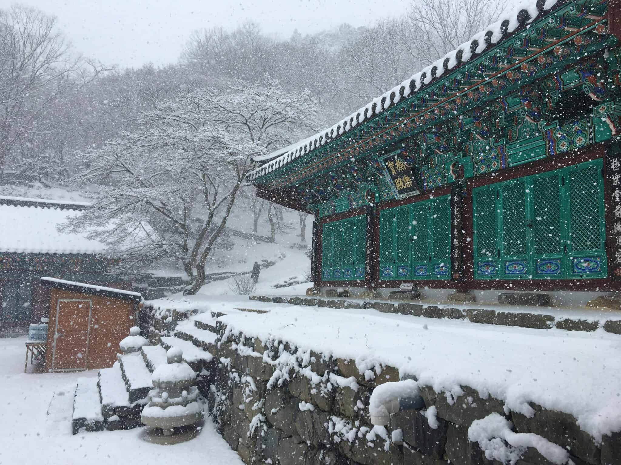 Temple Food & Tea Houses in Korea: Trying “Calm Travel” Experiences